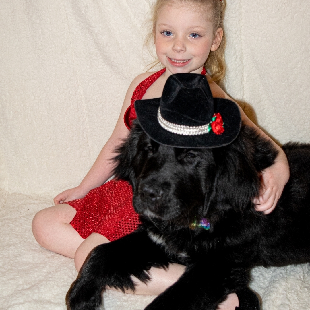 Newfoundland Mix Dog Breed - The Cutest Newfoundland Mix Photos