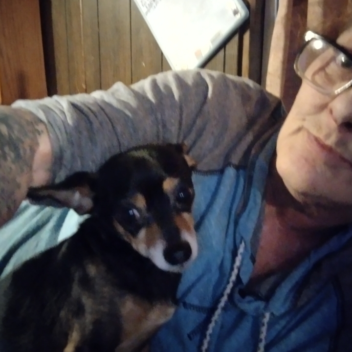 Teacup Miniature Pinscher Mix Dog Breed - The Cutest Teacup Miniature ...